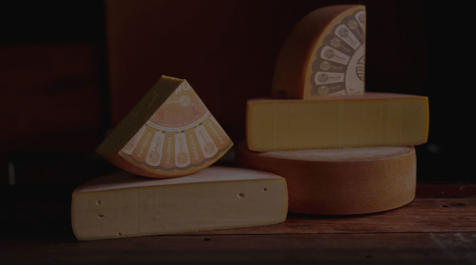 Meule du Plateau, nos fromages d'exceptions - La meule du plateau